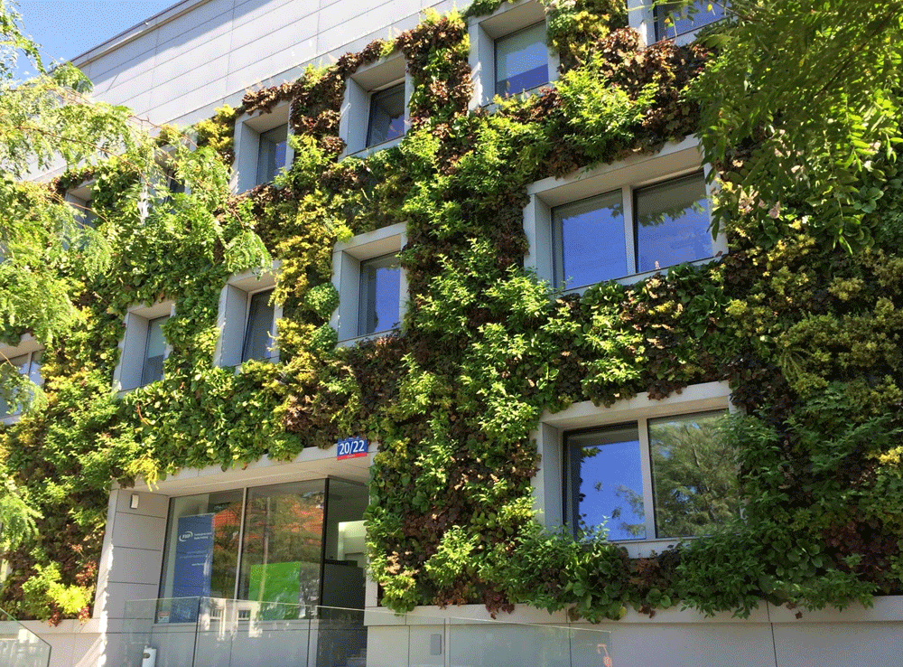 Високотехнологична зеленина – Строители БГ